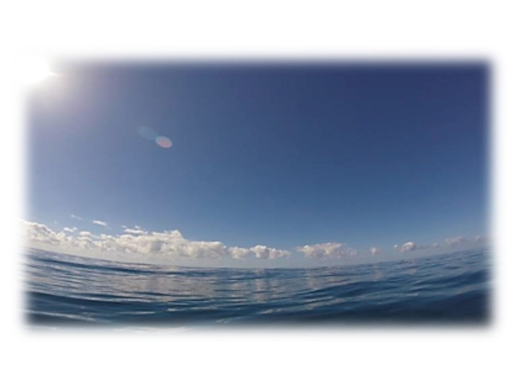 Finally, back in the ocean! - All Out Africa