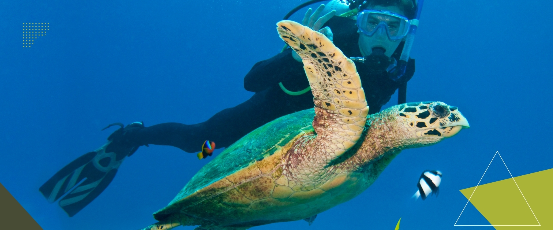 Marine Research Centre - All Out Africa